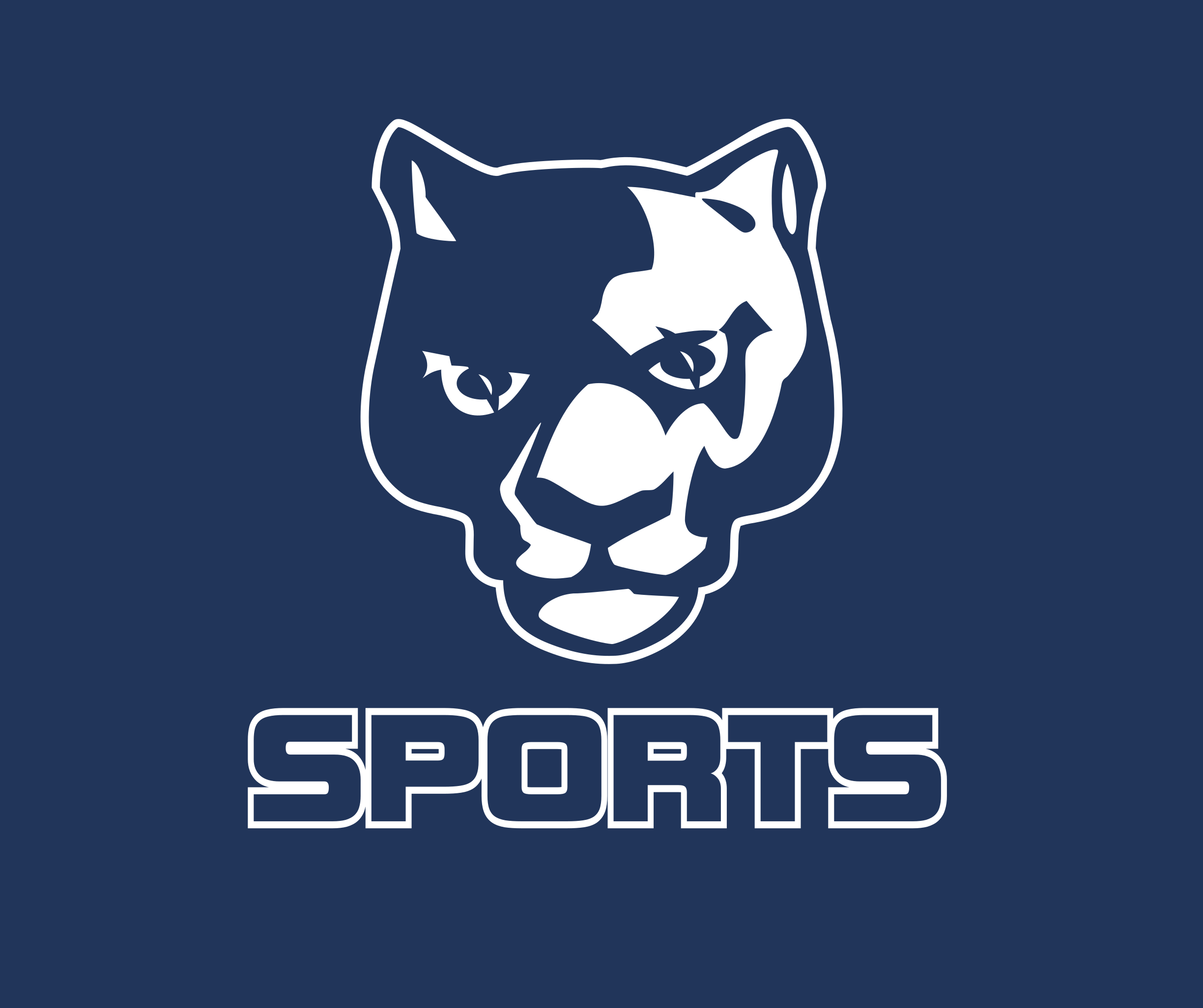 BCS School Pride and Athletic Team Store – BCS Store Hosted by R5 Design Co